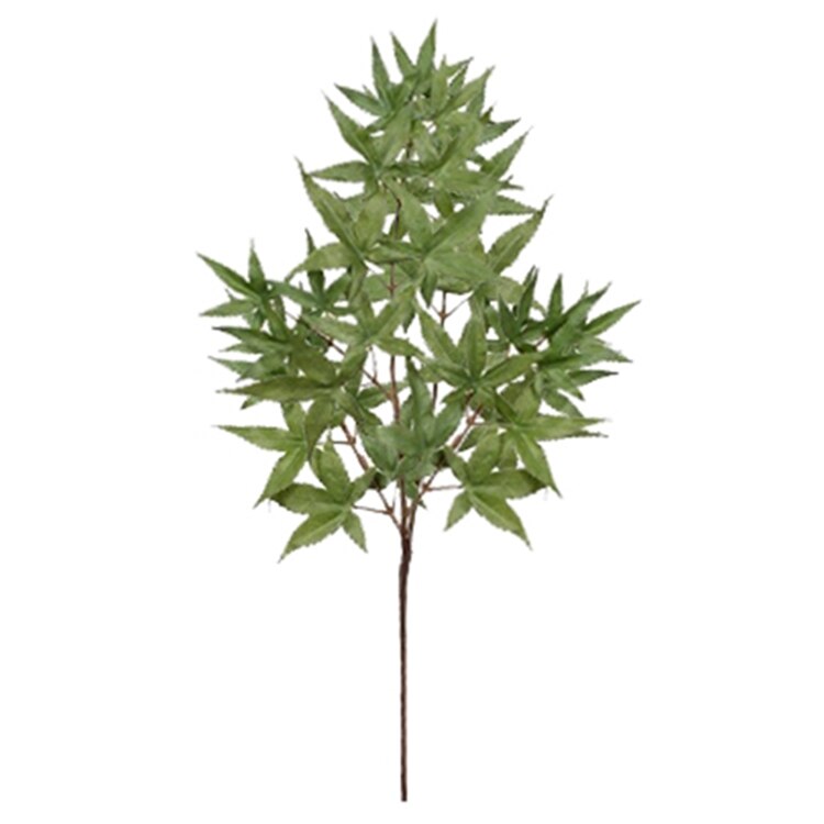 DIY Cannabis Plant