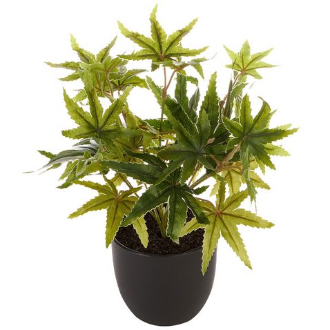 24cm Potted Fake Cannabis Hemp Plant - Craze™ Collective